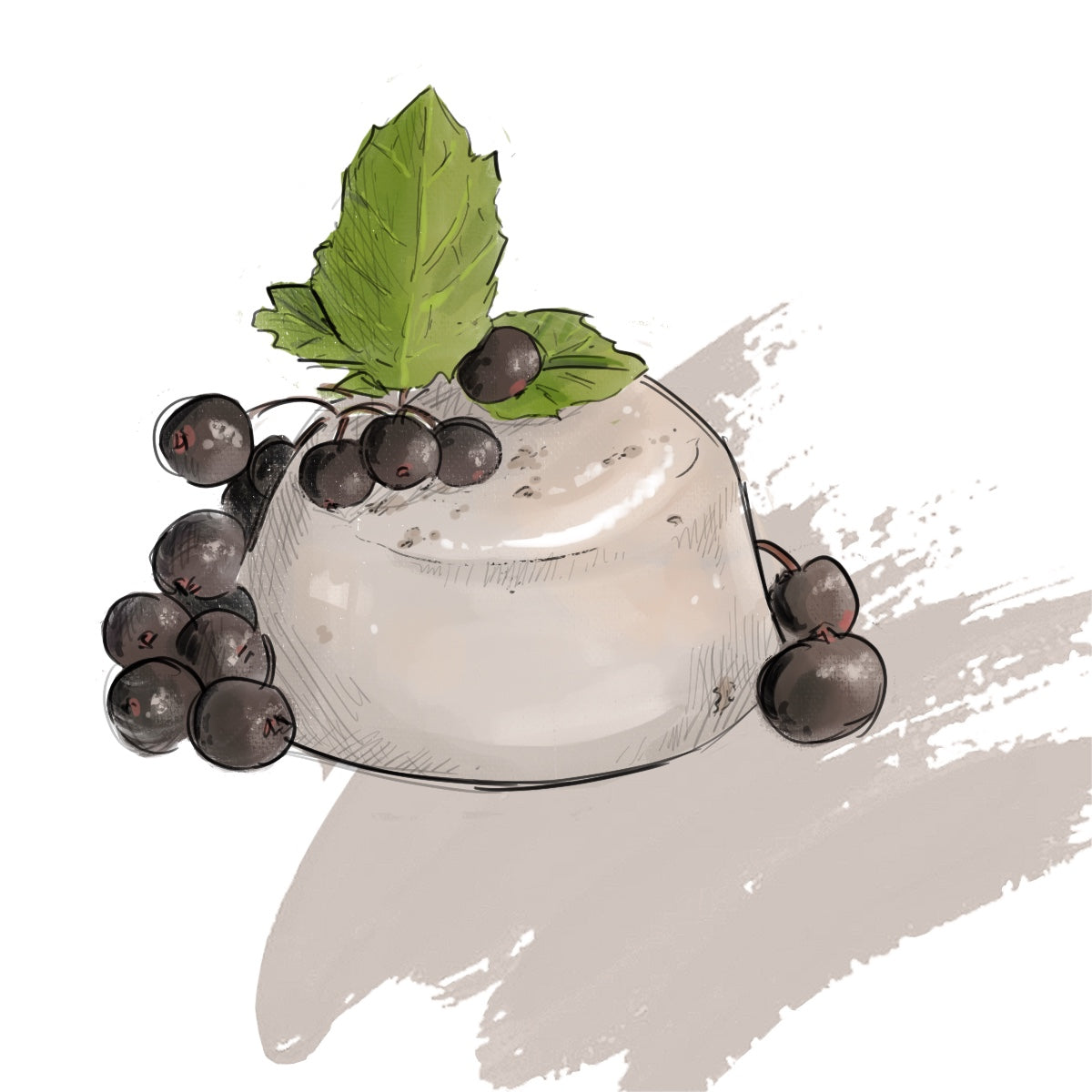 DIY Paint Singapore-Black Currant Color – Noroo Paint