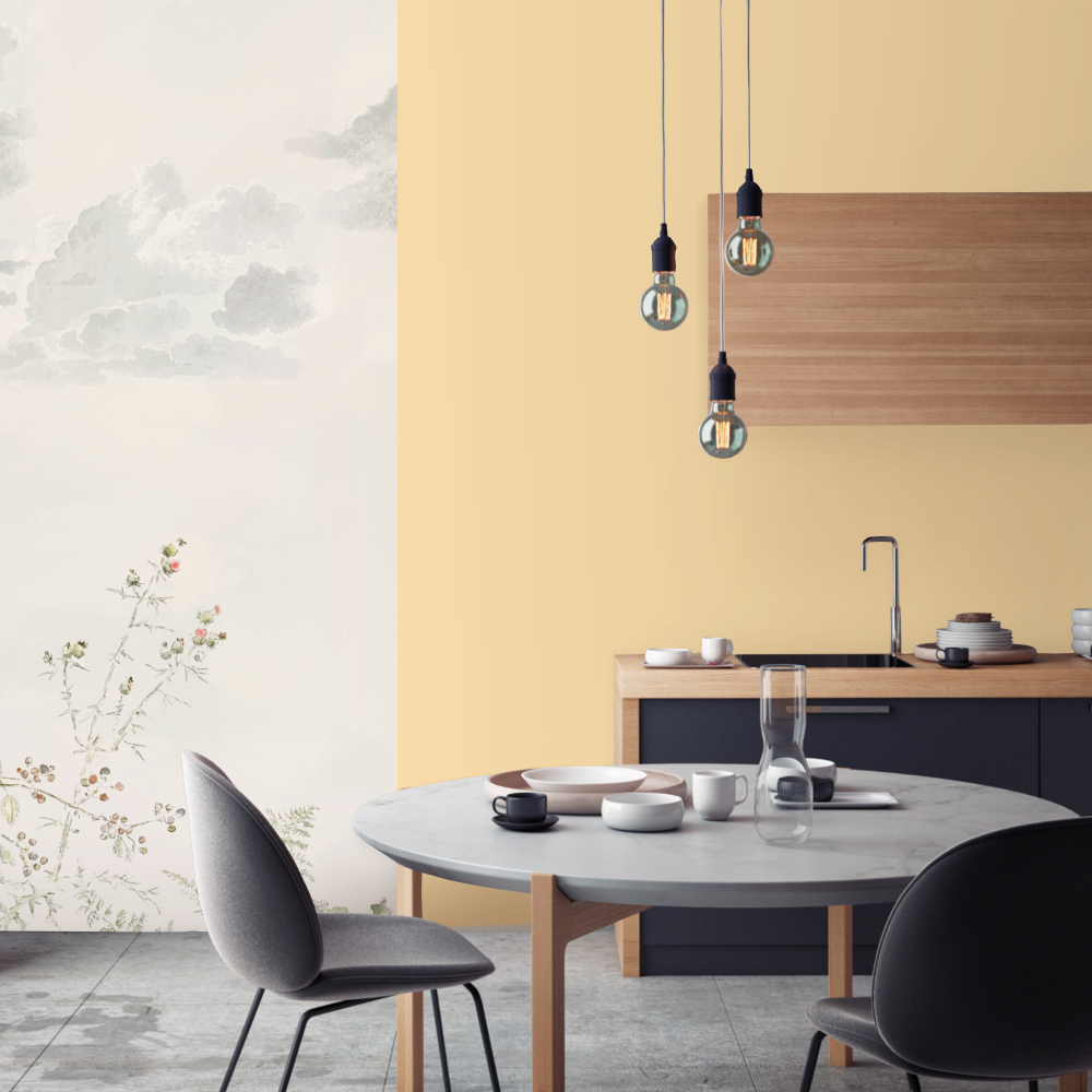Wall Painting Singapore-Apricot Cream Color – Noroo Paint