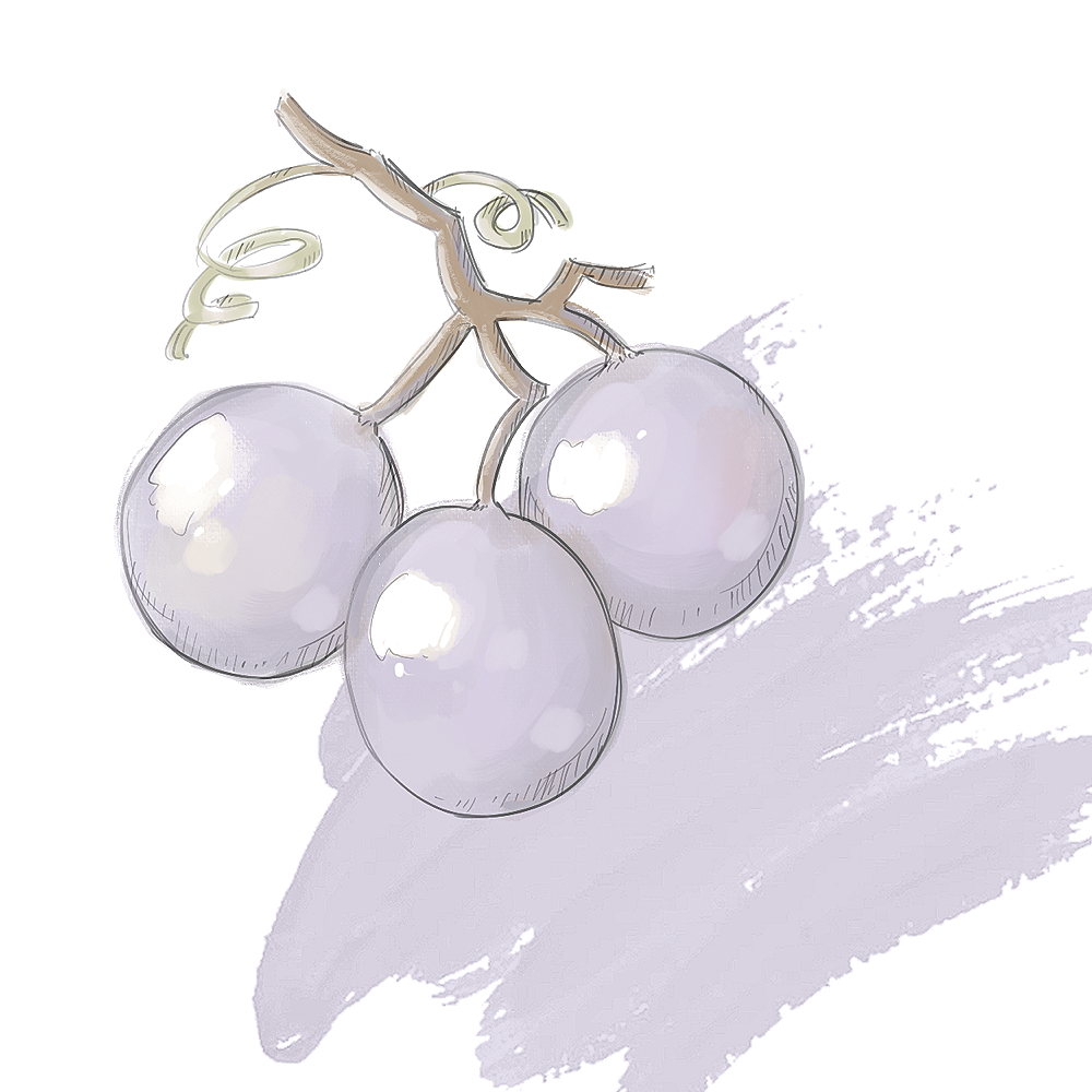 Non-Toxic Paint by Noroo Paint in Soft Purple Mild Grape Color